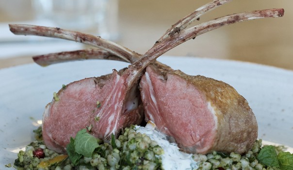 Premium New Zealand Beef and Lamb | ANZCO Foods