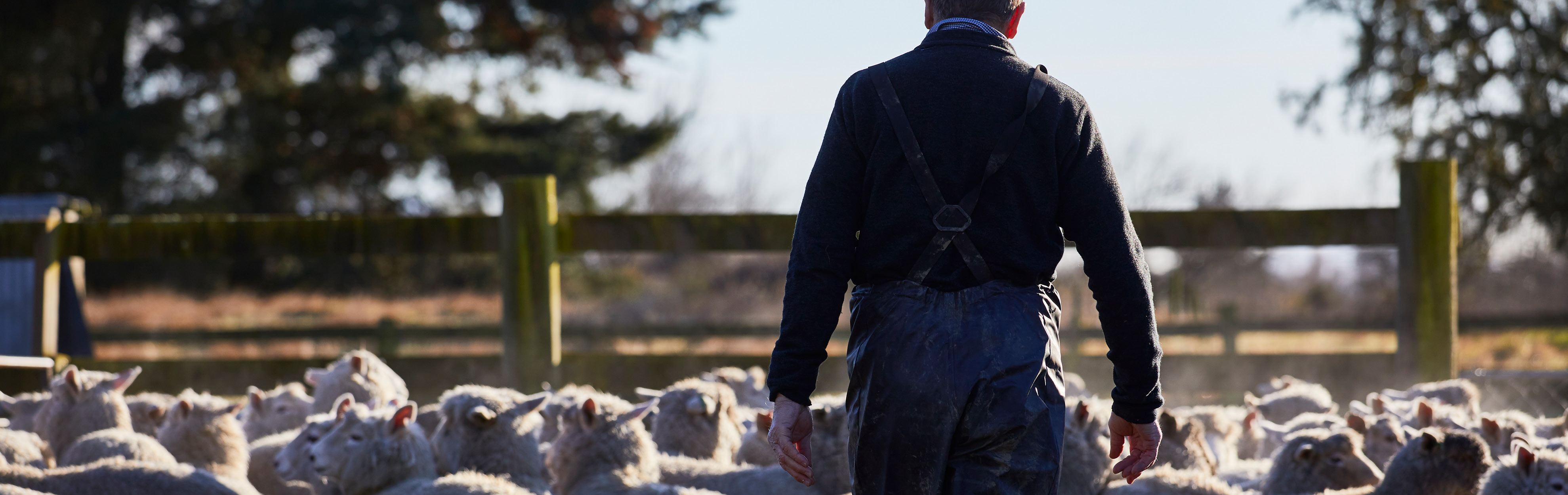 Read more about "Maimoa Header images3"...