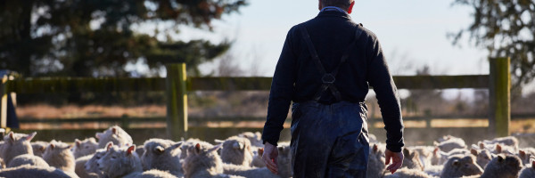 NZFAP Farmer Handbook | ANZCO Foods