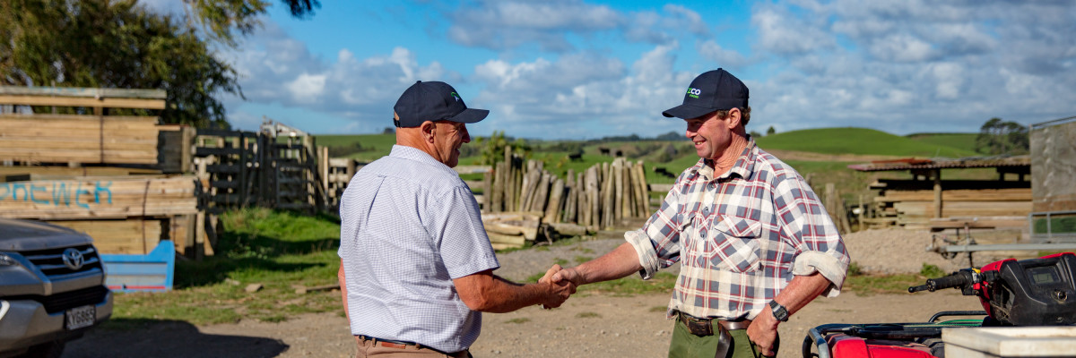 How to become NZFAP and NZFAP Plus Certified | ANZCO Foods