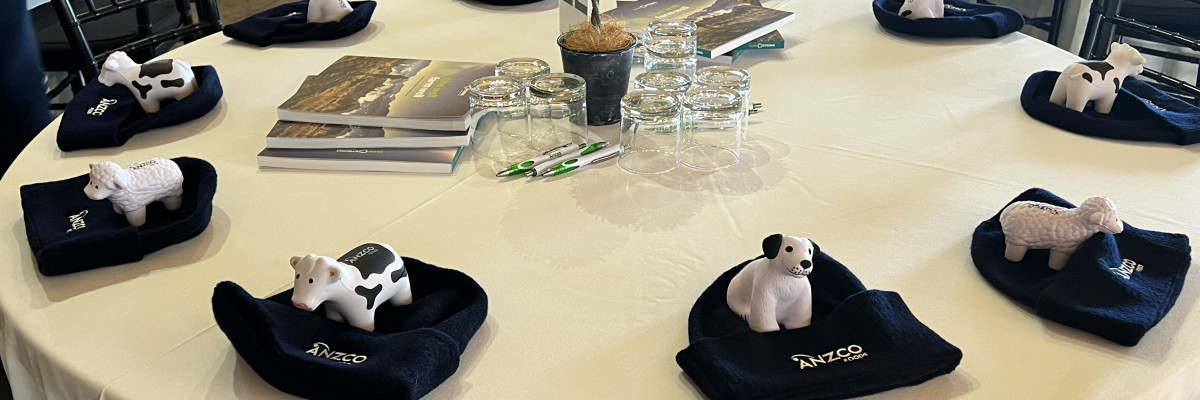 Beef up your growth and steak your claims – 2025 NZFAP Plus workshops ...