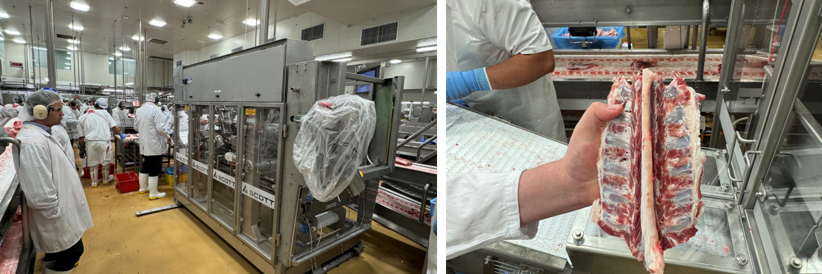 New gear at Rangitikei | ANZCO Foods