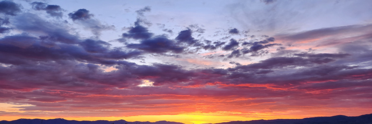 Monthly Photo Competition – November Winner and Entry Details | ANZCO Foods