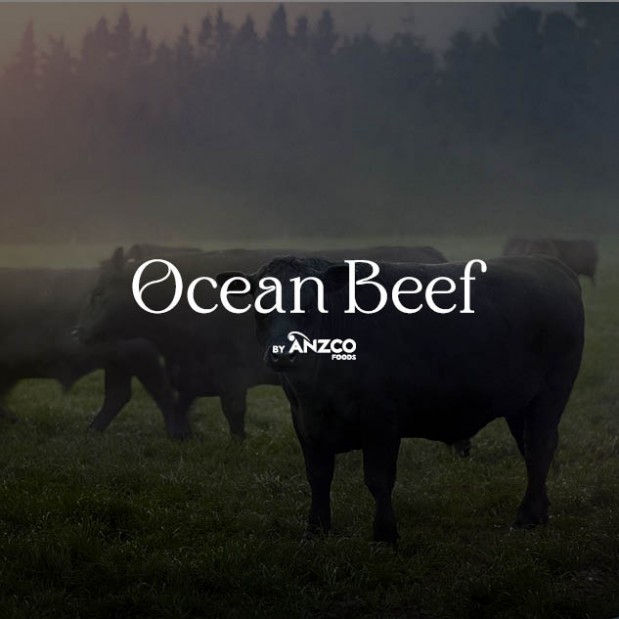 Premium New Zealand Meat Products | Beef and Lamb Brands | ANZCO Foods
