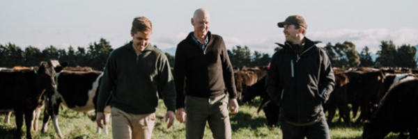 NZFAP Plus Update and Offer | ANZCO Foods